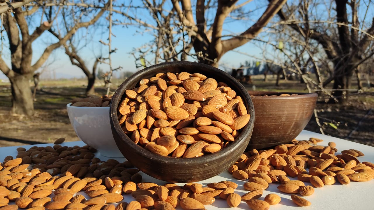 Almendras – De nuestra tierra